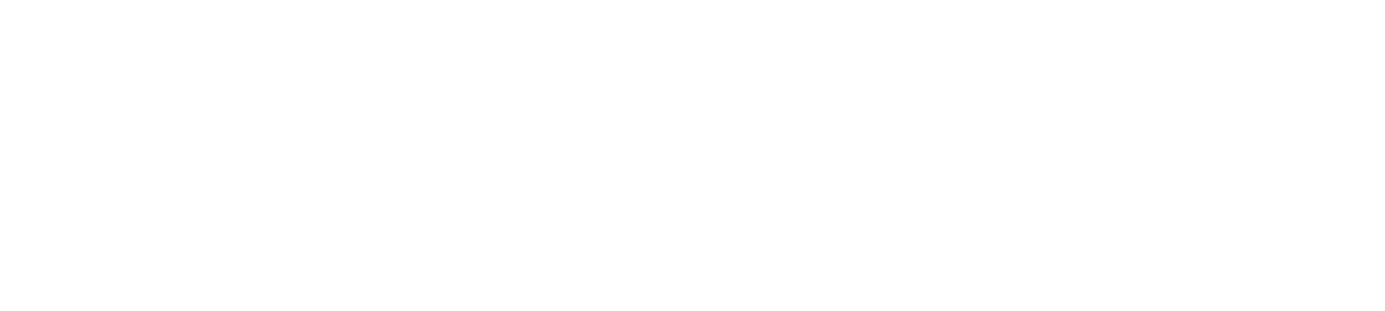 About Fidectus