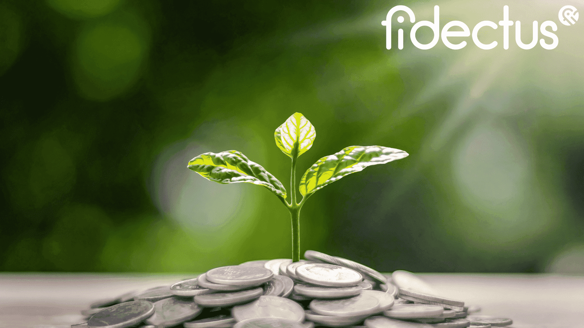 Fidectus pays traders for their eCM